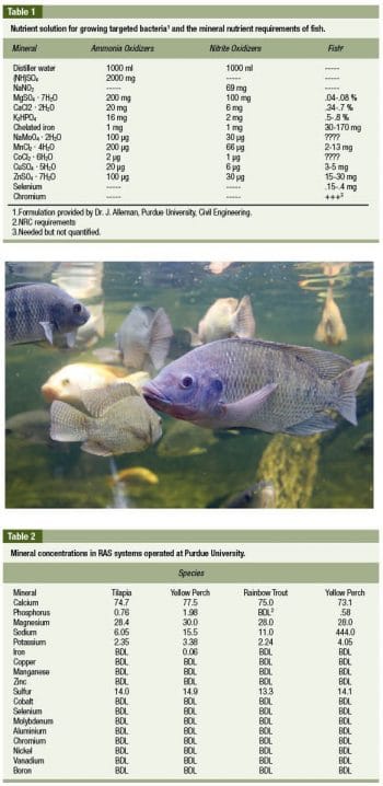 Intensive feeding – Aquaculture Magazine
