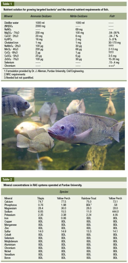Intensive feeding – Aquaculture Magazine