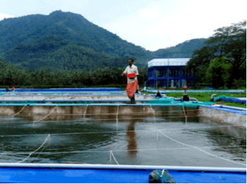 National programme in place to monitor aquaculture diseases in India ...