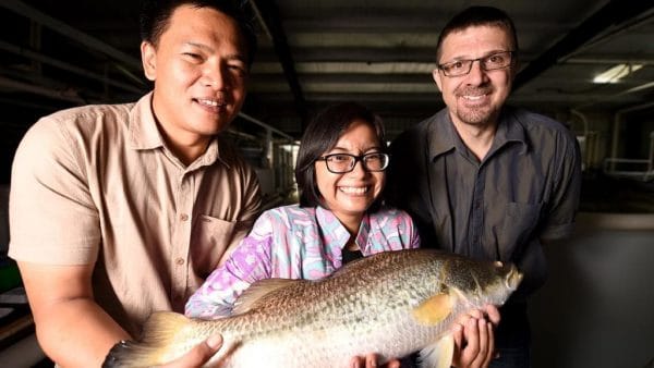 Local researchers helping the world in aquaculture – Aquaculture Magazine