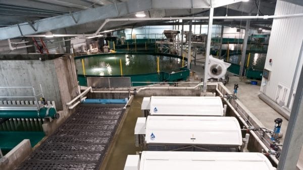 Land-based fish farming lures new investment interest – Aquaculture ...