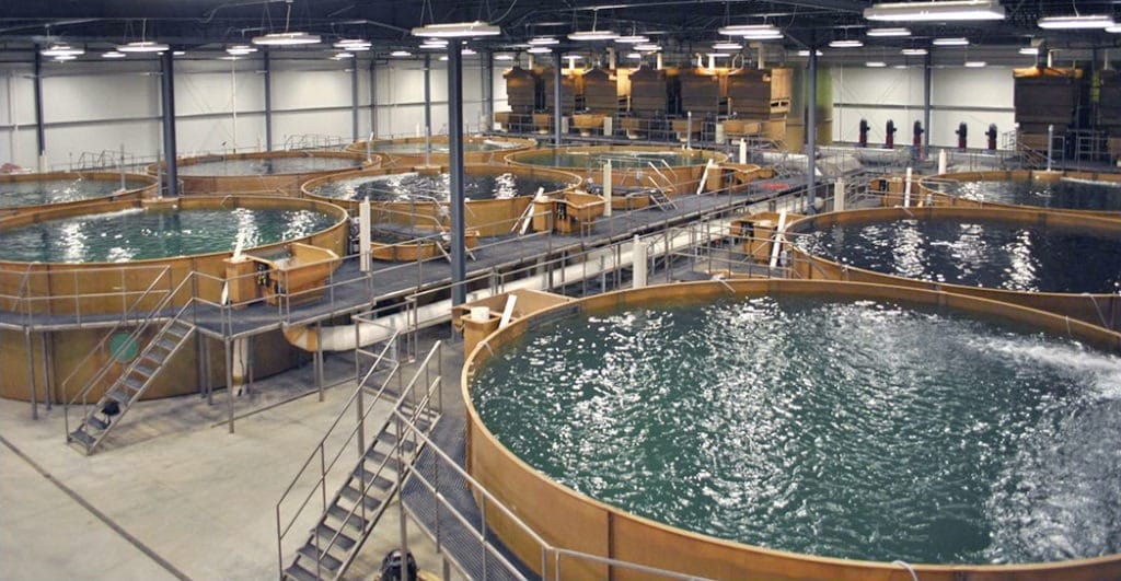 Where is the aquaculture in the US? - Aquaculture Magazine