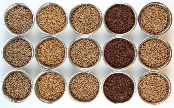 Feeds for Recirculating Aquaculture Systems. Aller Aqua introduces ...