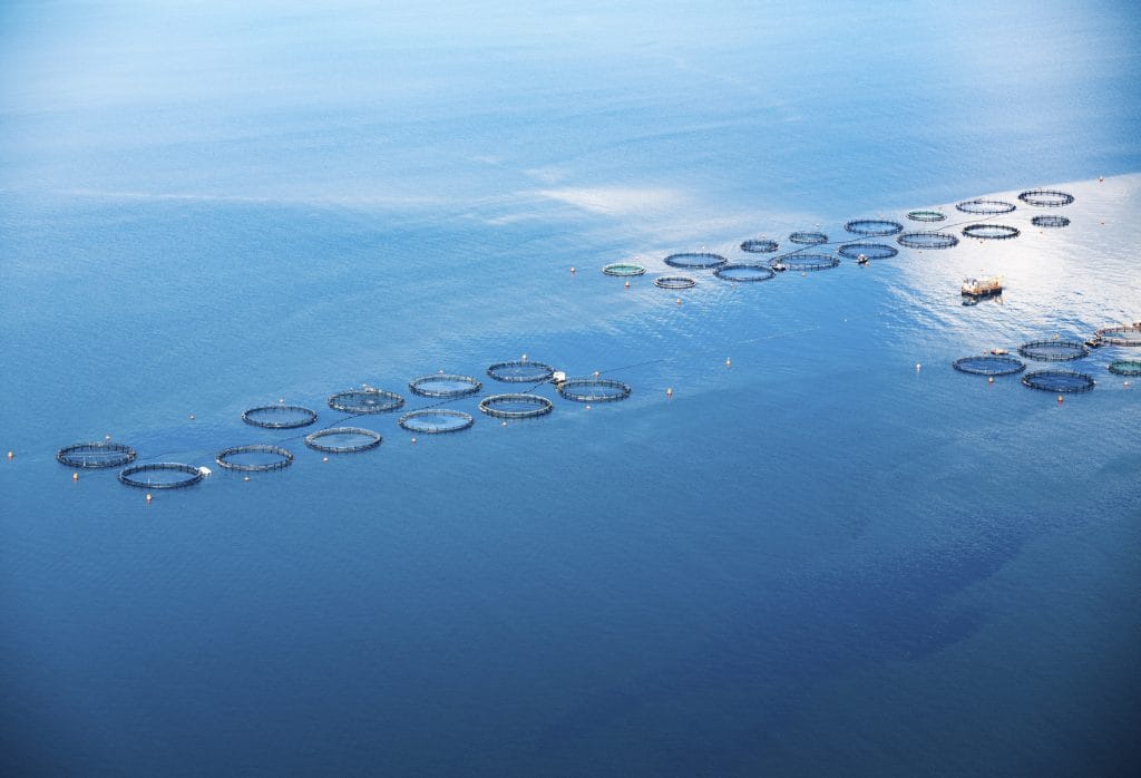 Perceptions of Marine Aquaculture: How can we take back the narrative ...