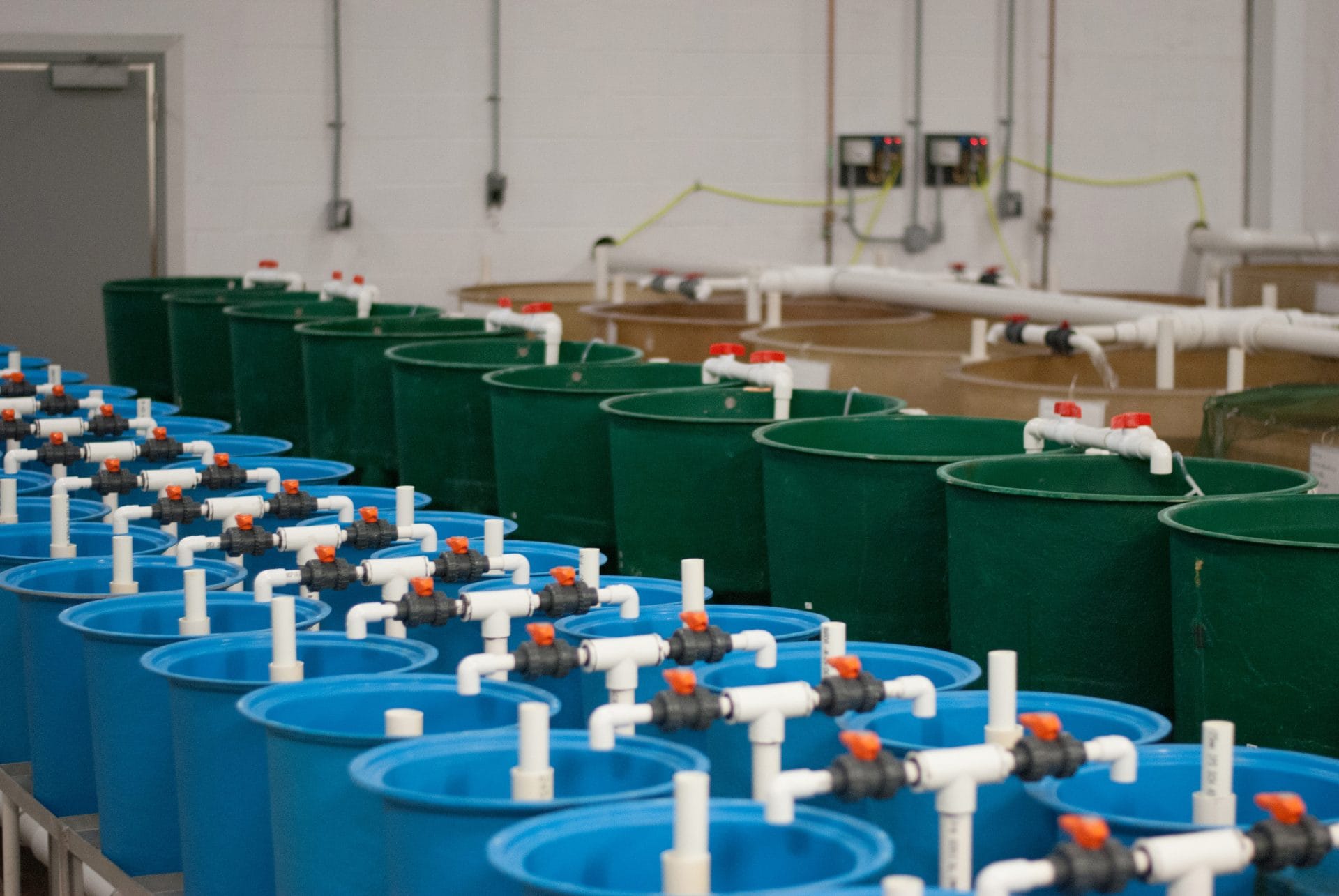 The Center for Aquaculture Technologies in Canada acquires new facility ...