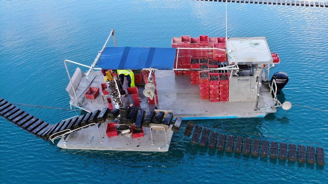 The semi-automated oyster-growing system FlipFarm won the 2021 Global ...