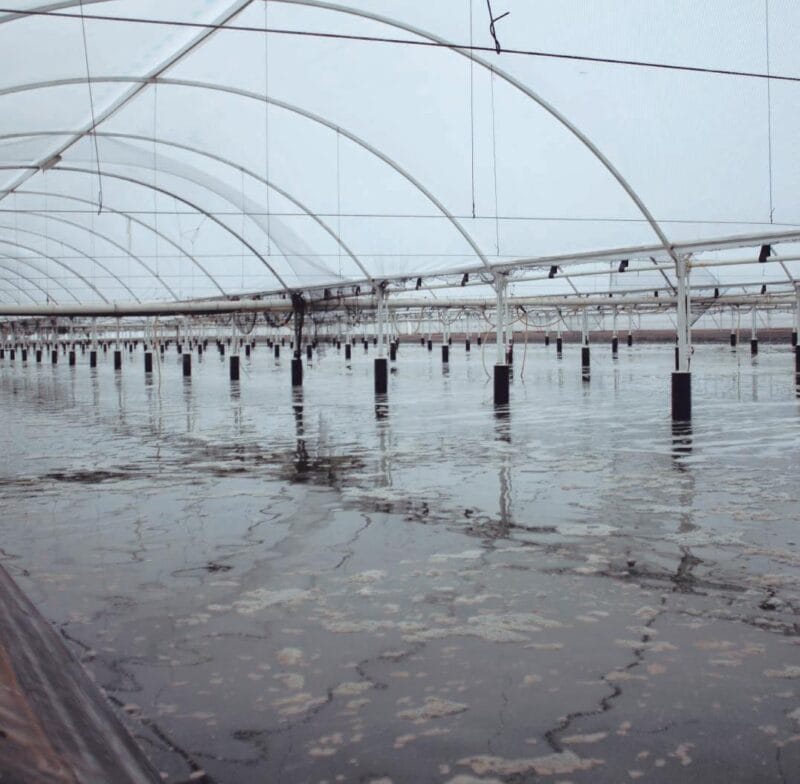 Application of hybrid electrocoagulation–filtration methods in the ...