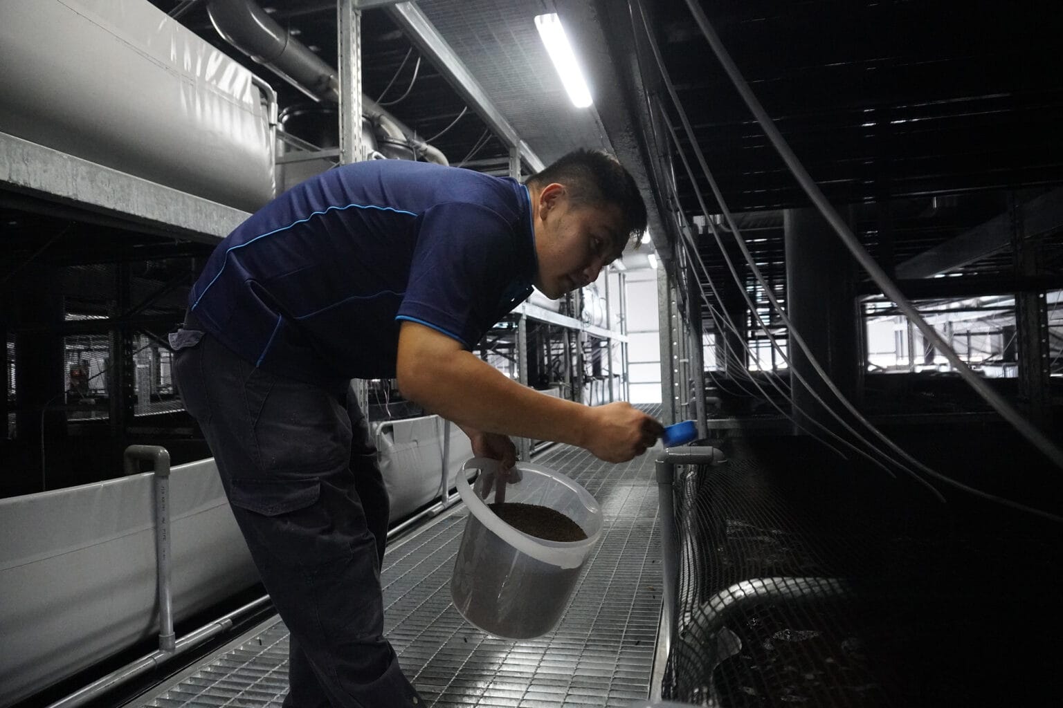 Grobest China establish a new aquaculture feed factory in Guangdong ...
