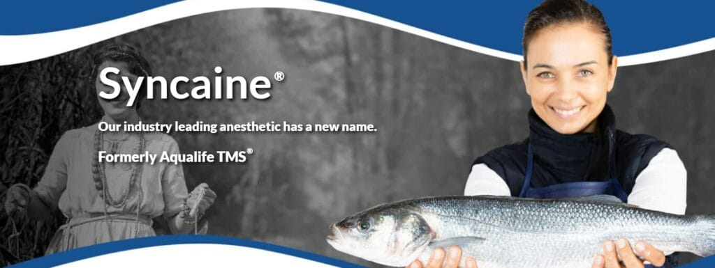 Syndel’s Syncaine ® approved in the UK – Aquaculture Magazine