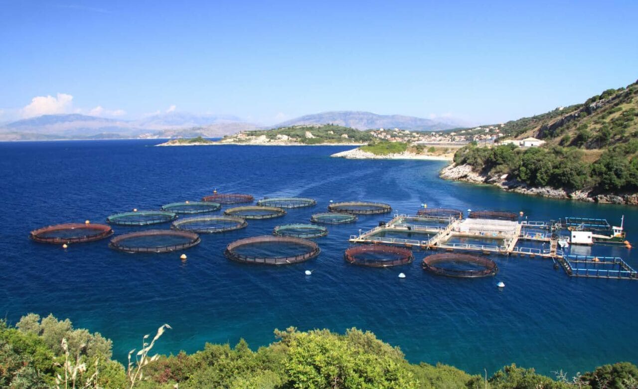 THE FUTURE OF FOOD from the sea – Aquaculture Magazine