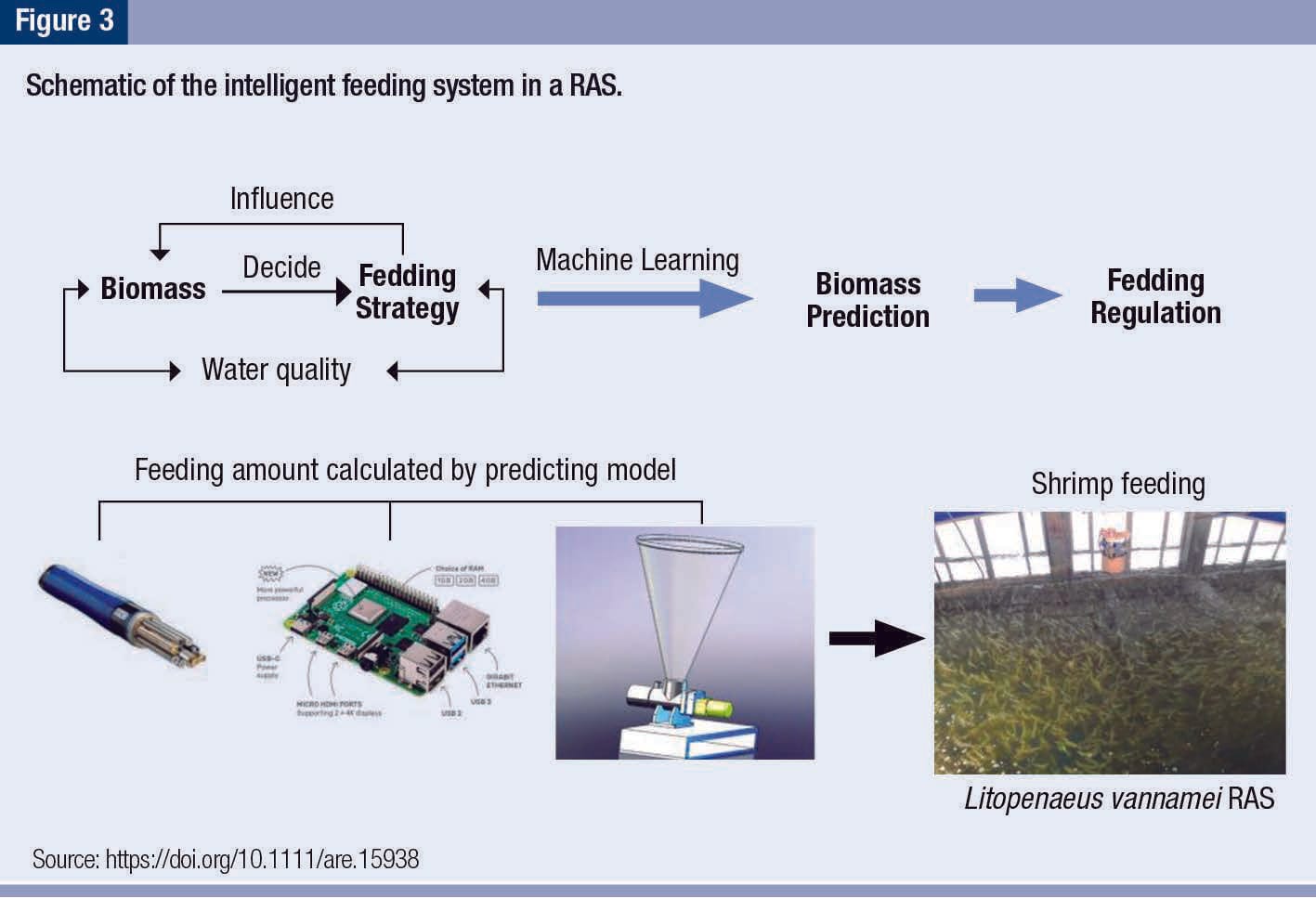 INTELLIGENT FEEDING TECHNIQUE BASED ON PREDICTING SHRIMP GROWTH in ...