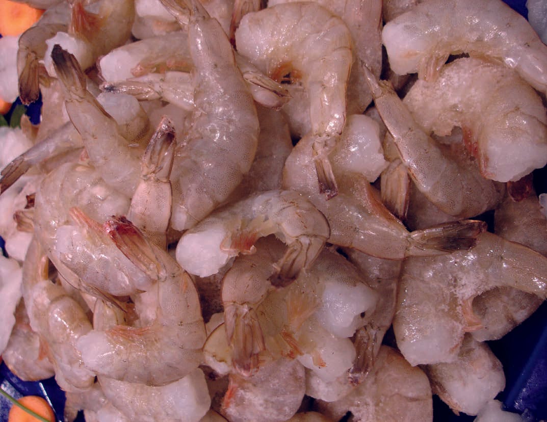 Is shrimp farming sustainable in its current form? – Aquaculture Magazine