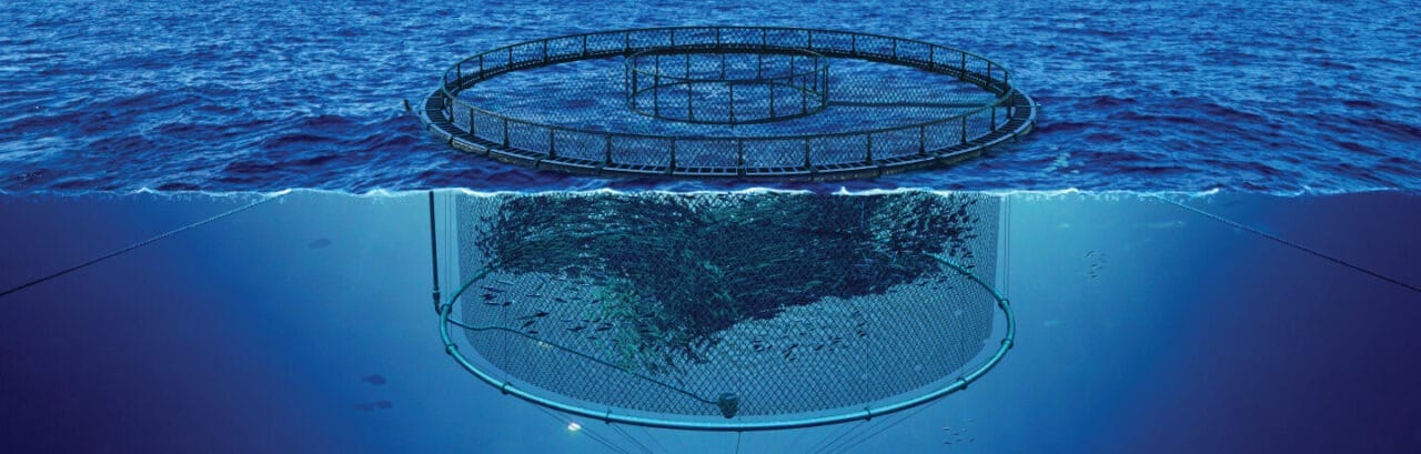 Innovasea Introduces Easy-to-Operate SeaProtean Submersible Fish Pen ...