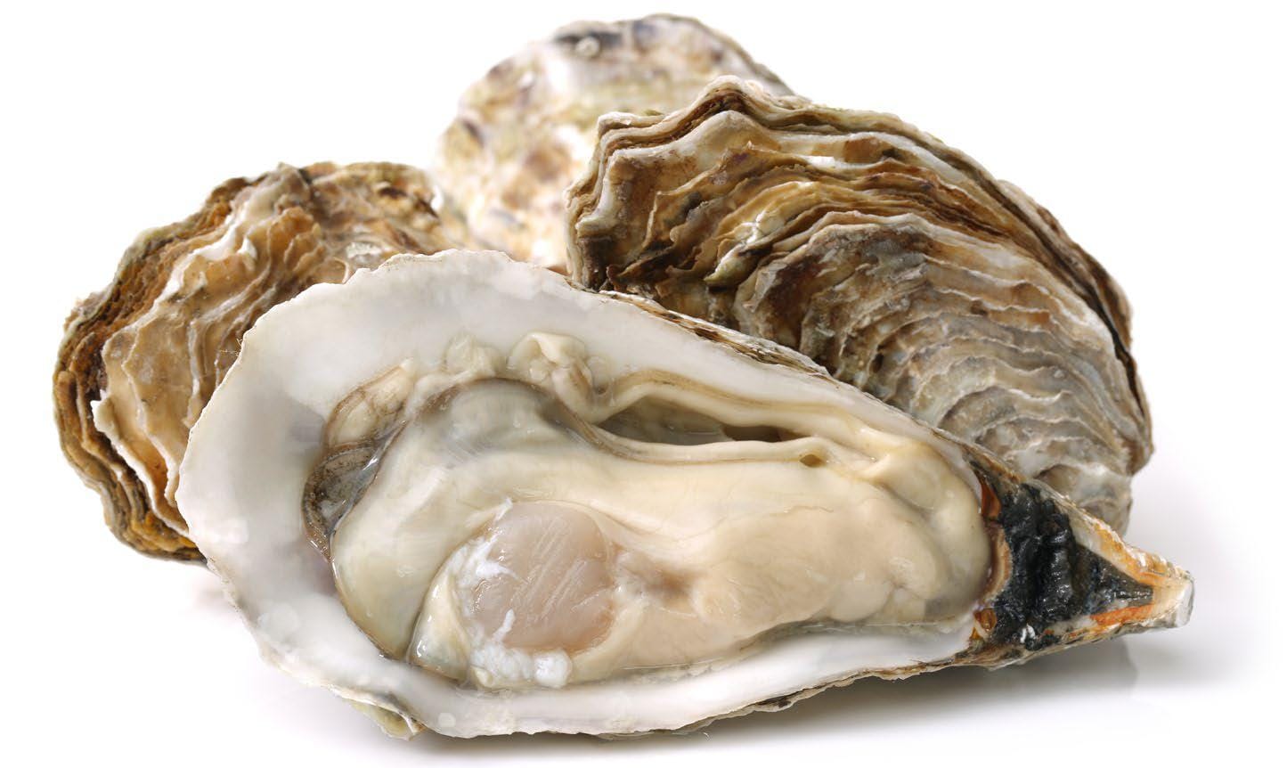 California shellfish farmers: Perceptions of changing ocean conditions ...
