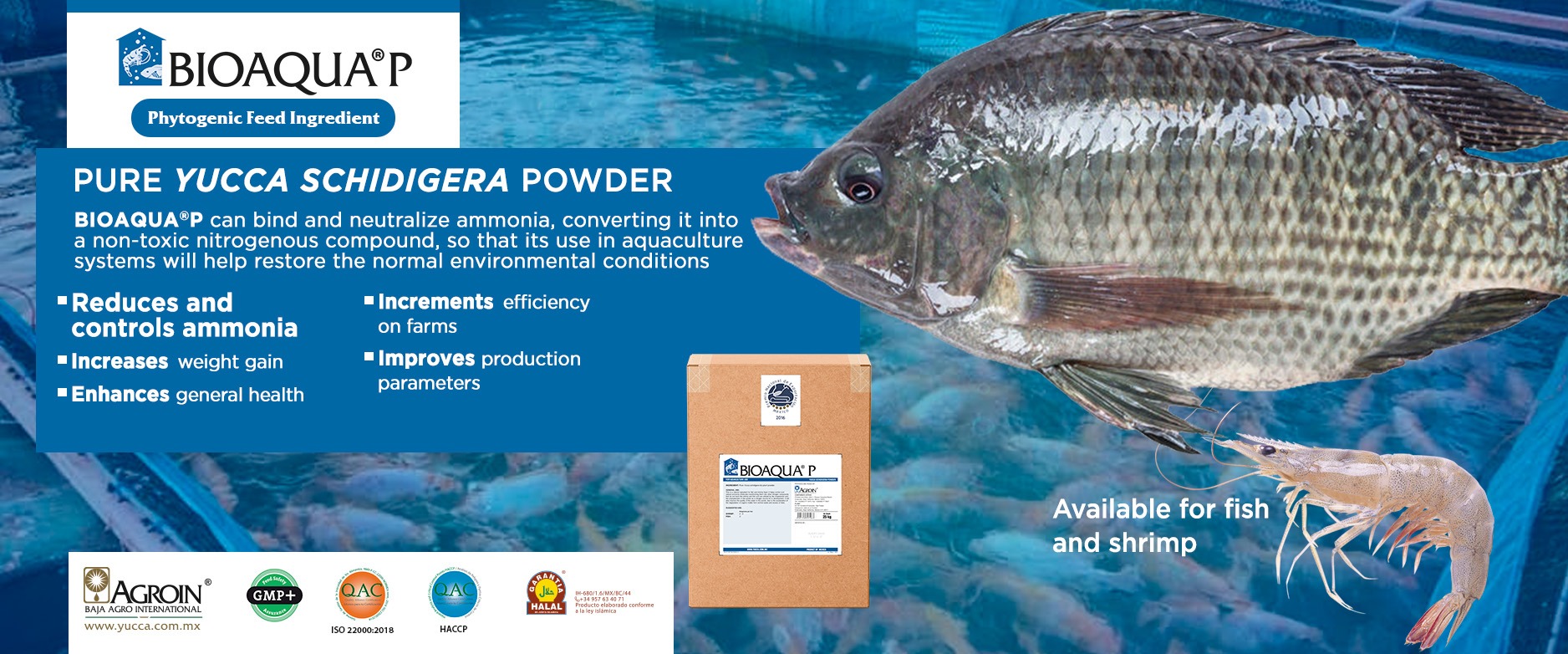 Olive oil by-products in aquafeeds: Opportunities and challenges ...