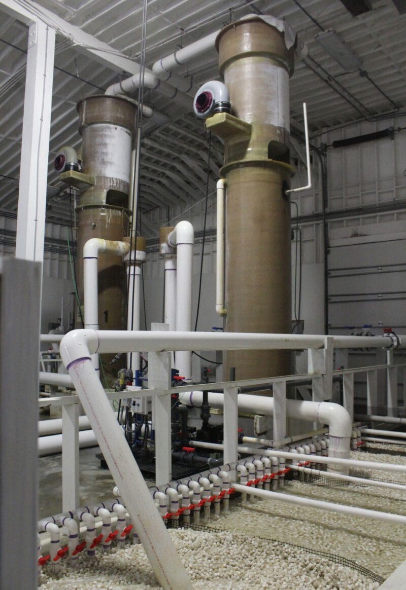 The life of RAS… – Aquaculture Magazine