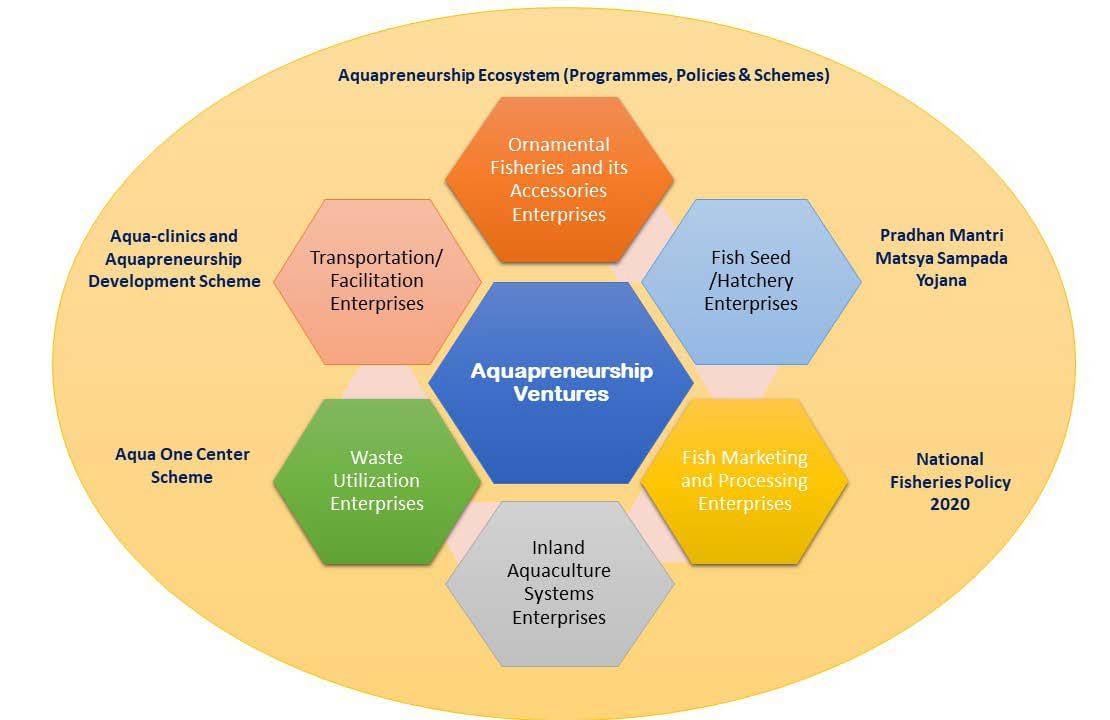 Aquapreneurship: a viable option for the next generation of ...
