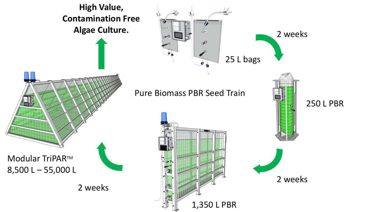 Algae Cultivation via a Novel Photobioreactor and Harvest Apparatus for ...