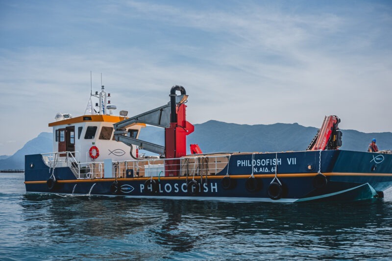 Greek company Philosofish leads the way in fish welfare with ...