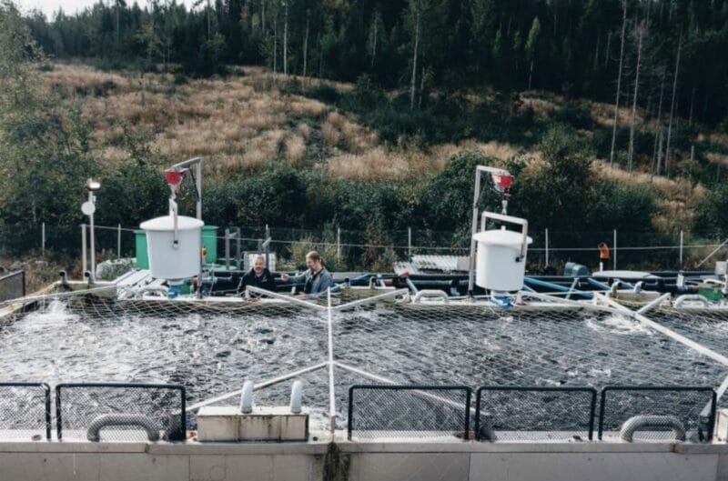 The PaRAS method of the Finnish Institute Luke has its first startup ...