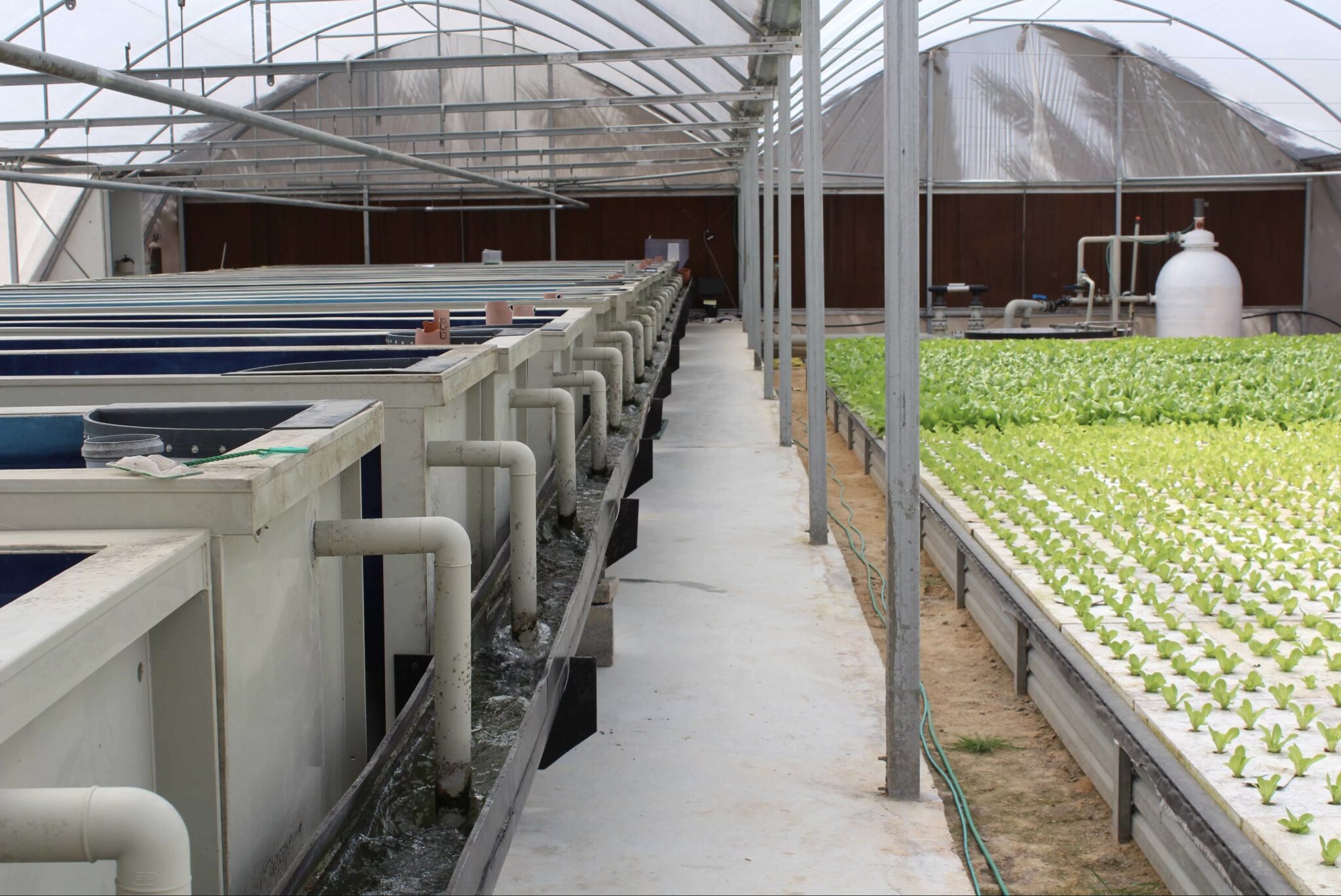 Colors Farm, Evogene and Ben-Gurion University Collaborate to Establish ...