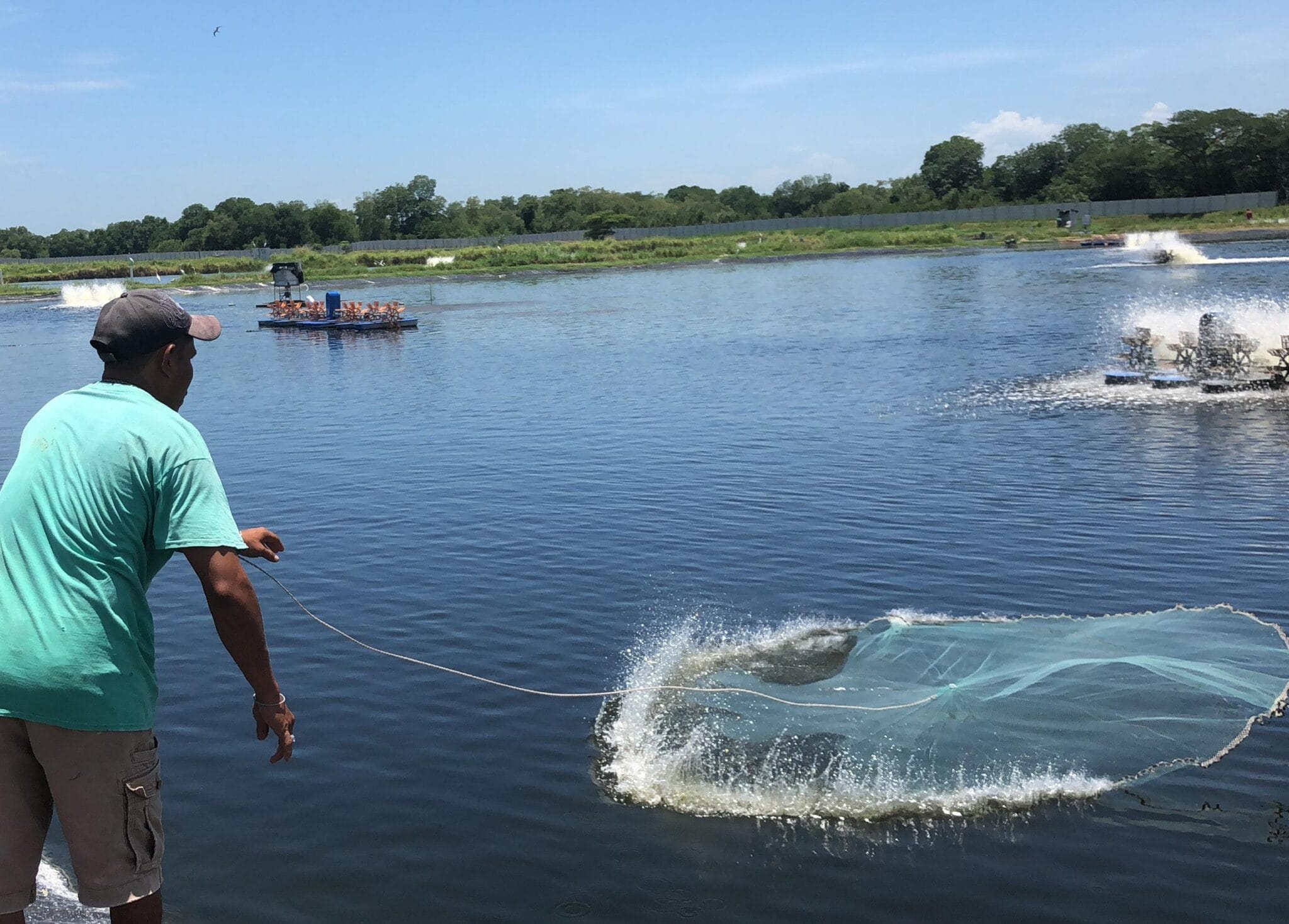 Exploring the Benefits of Geomembrane Liners in Aquaculture: A ...