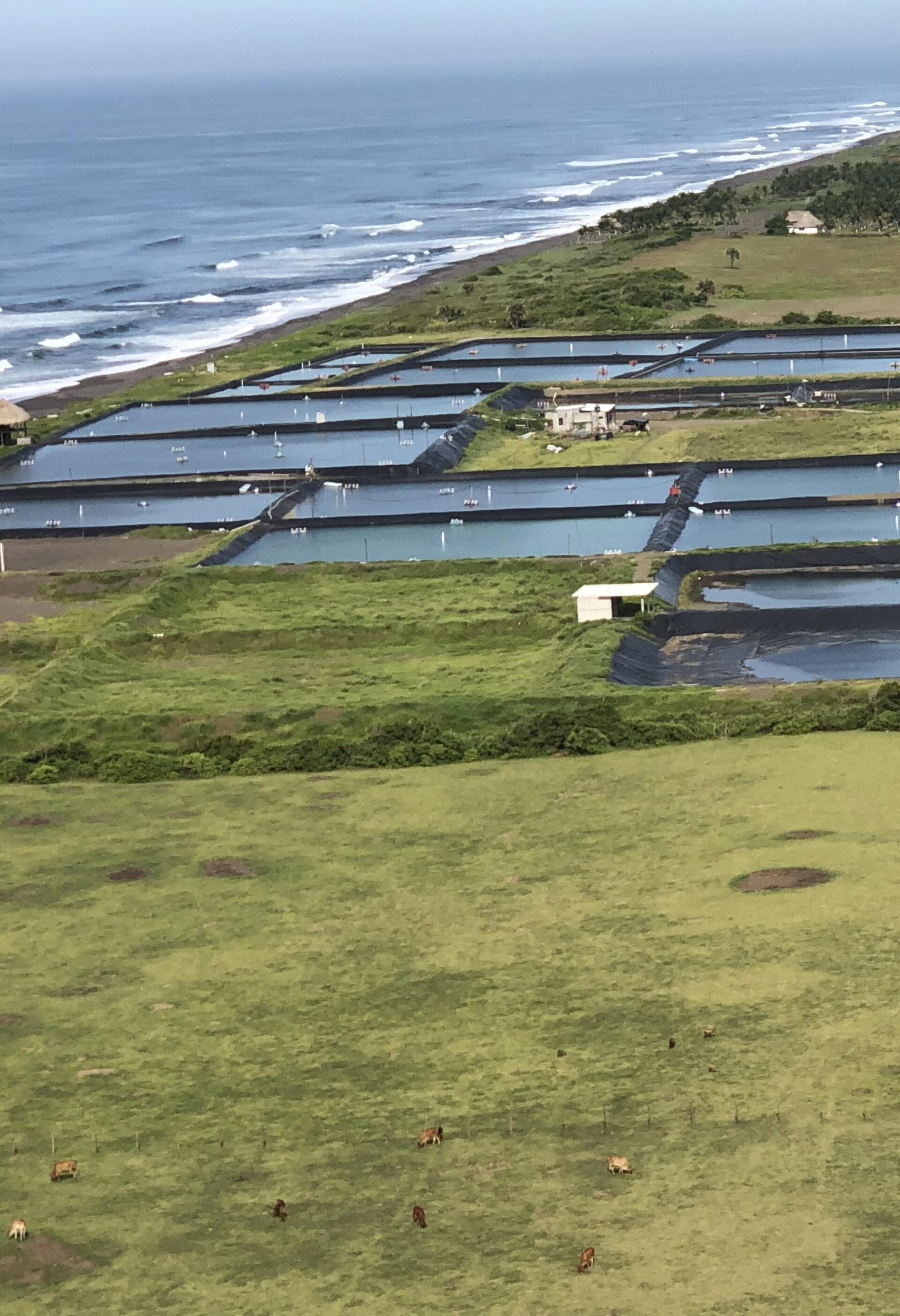 Revolutionizing Aquaculture: The Superior Solutions of Reef Industries ...