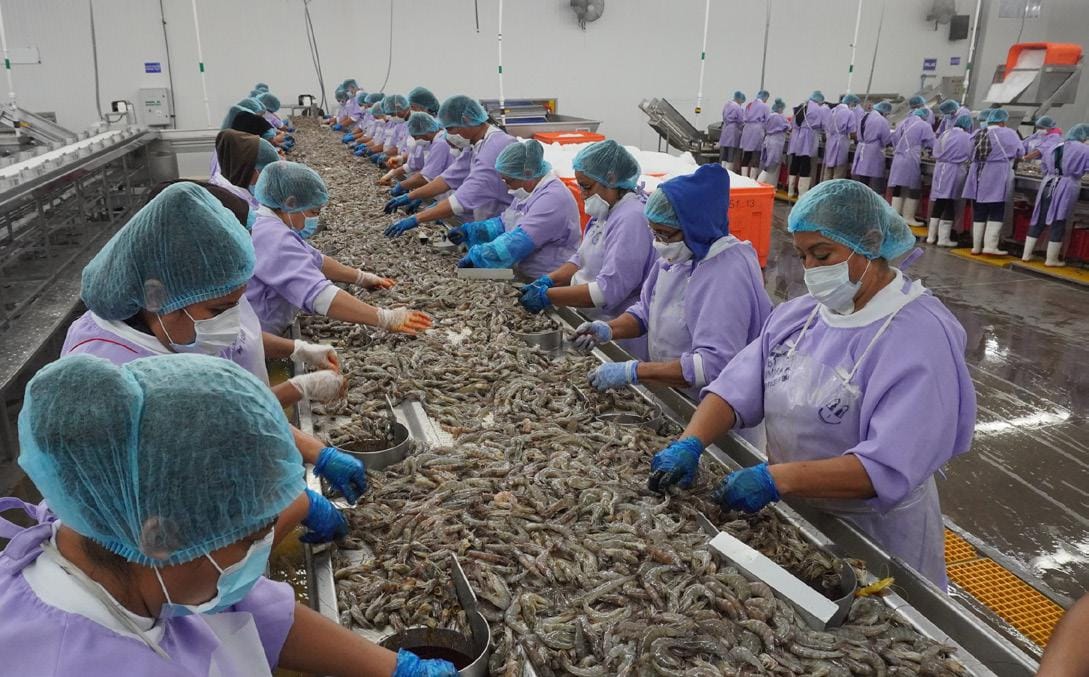 Seafood Safety Unveiled: Mitigating Foodborne Hazards – Aquaculture ...