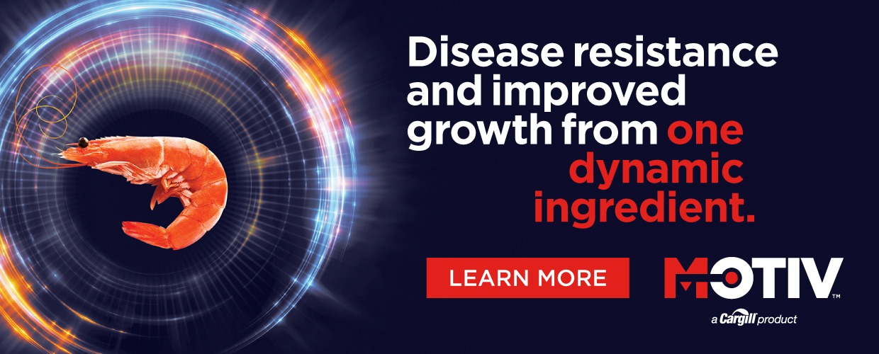 Innovasea Introduces Easy-to-Operate SeaProtean Submersible Fish Pen ...