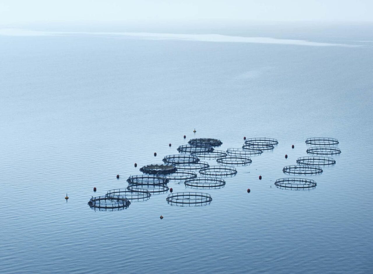 Aquaculture and Capture Fisheries: Trends and Outlook – Aquaculture ...