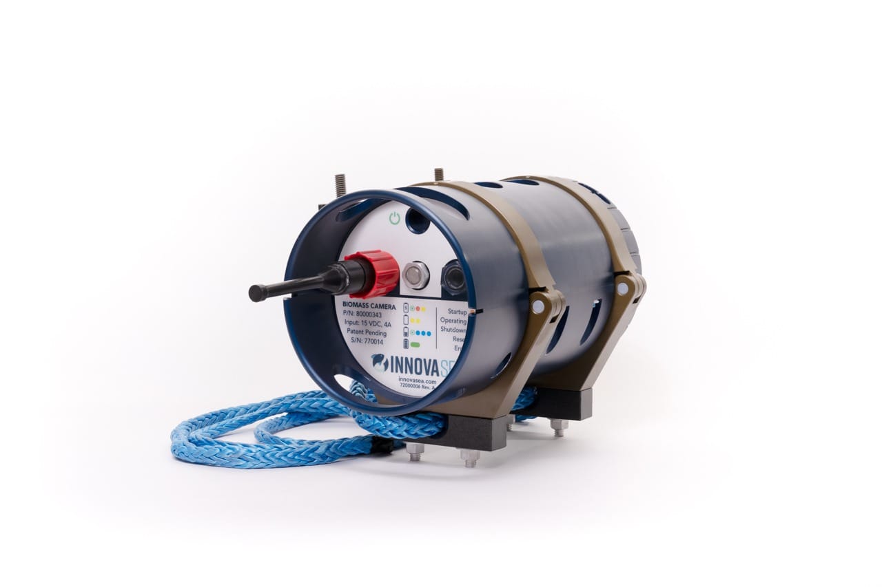 Innovasea Announces the Launch of Sew Seabream Algorithm for Biomass ...